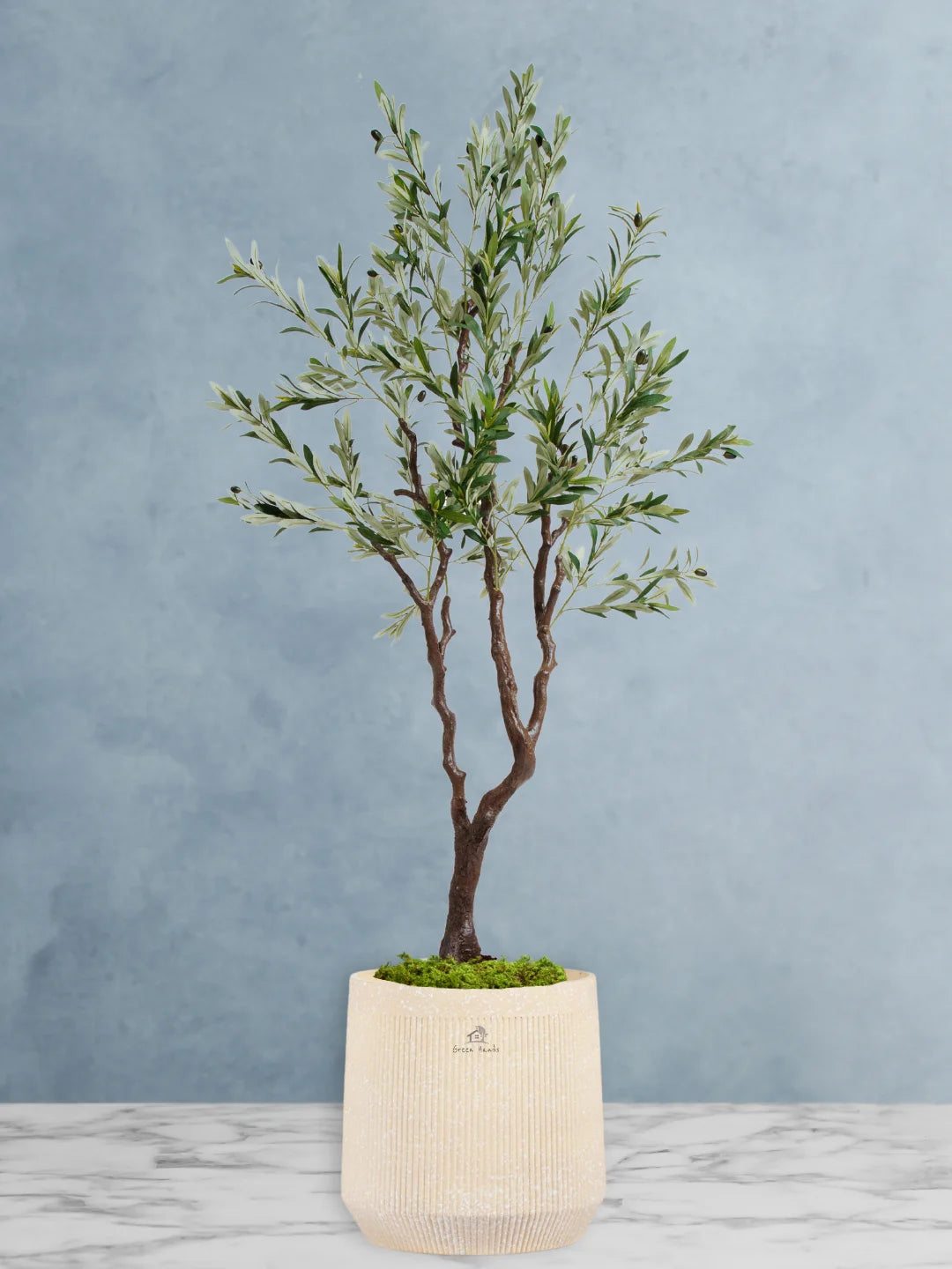 Artificial Olive Tree | 210-220cm | Pot Included – Green Hands