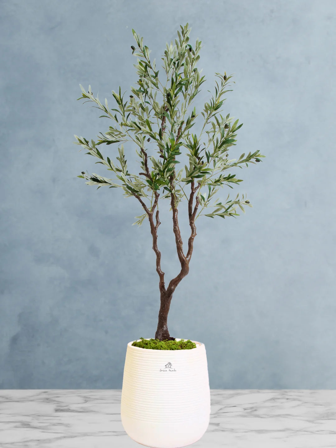 Artificial Olive Tree | 210-220cm | Pot Included – Green Hands